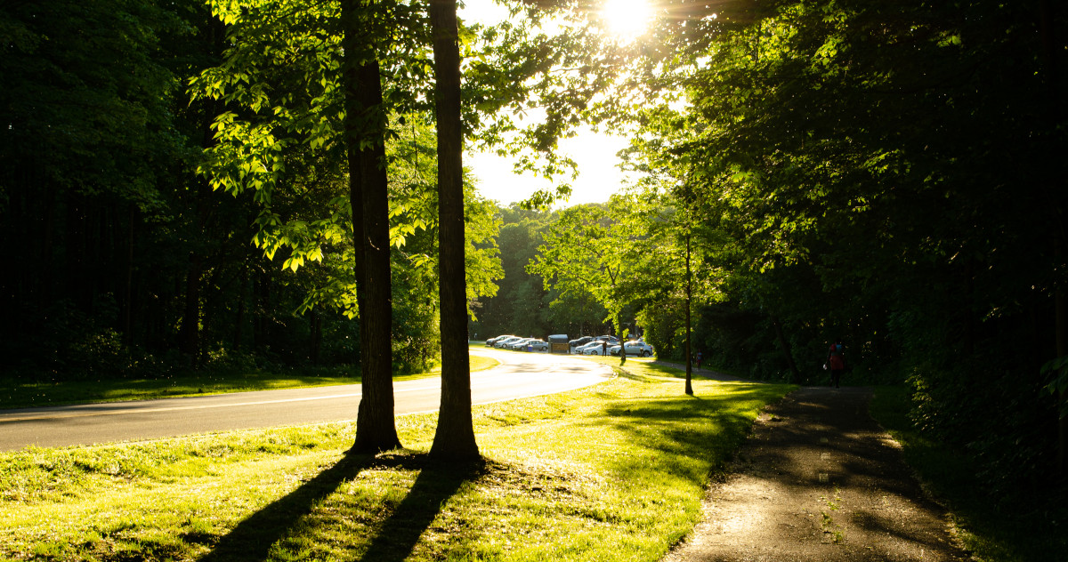 Creating Light and Shadow Photography